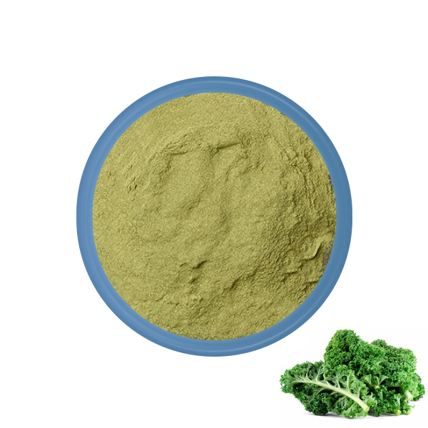 best organic kale powder manufacturer - YanggeBiotech
