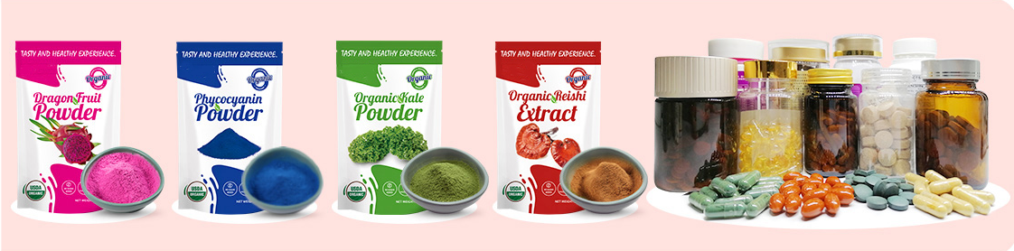 Pitaya Powder - YanggeBiotech