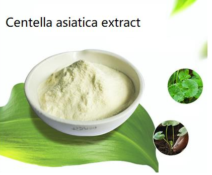 Centella Asiatica Extract 1% - YanggeBiotech
