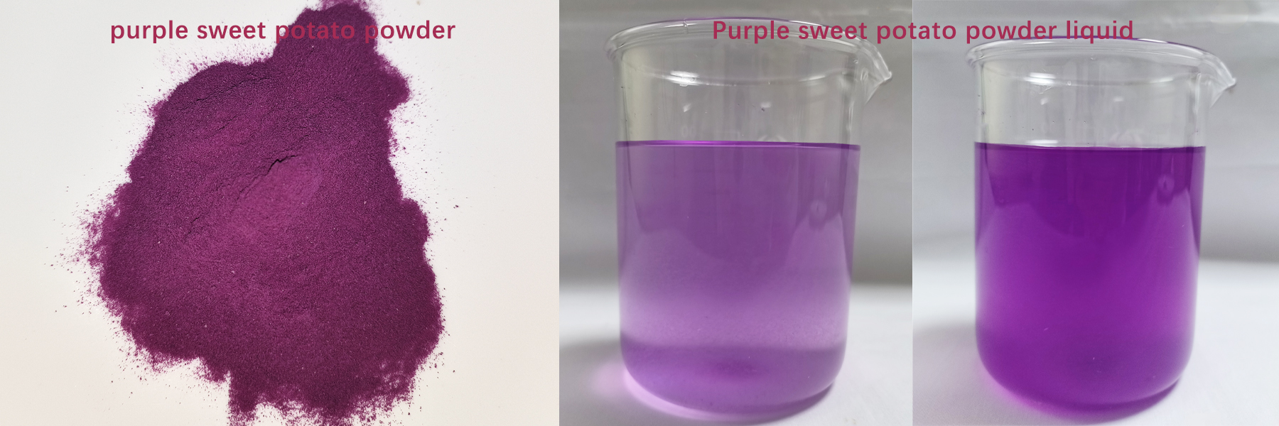 Purple Sweet Potato Powder - YanggeBiotech