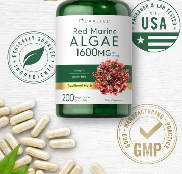 Red Algae Powder Bulk - YanggeBiotech