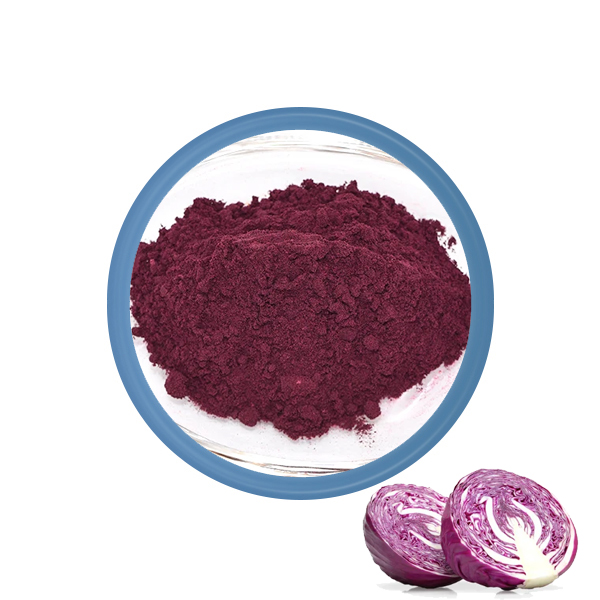 Red Cabbage Powder E163 (YANGGEBIOTECH Food Colors) - YanggeBiotech