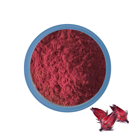 Roselle Extract Powder (YANGGEBIOTECH Food Colors) - YanggeBiotech