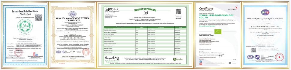 Pure Psyllium Husk Powder - YanggeBiotech