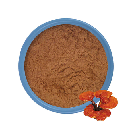 Lucid Ganoderma Extract - YanggeBiotech
