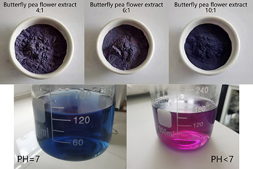 Blue pea powder - YanggeBiotech