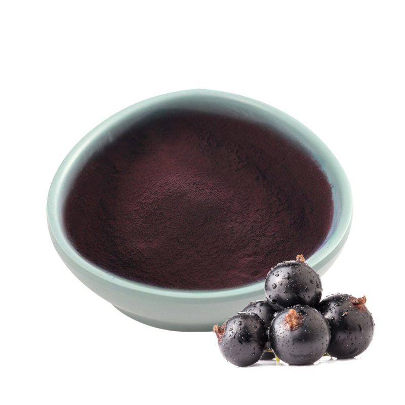 black currant fruit extract buy - YanggeBiotech