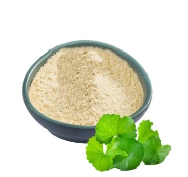 Centella Asiatica Extract - YanggeBiotech