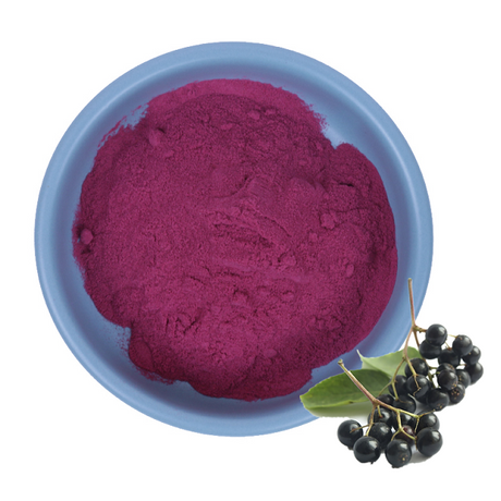 elderberry extract ingredients for sale - YanggeBiotech