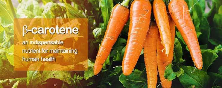 Beta carotene color - YanggeBiotech